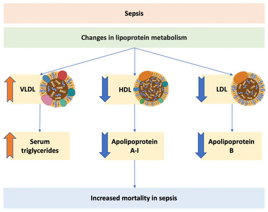Impact of High-Density Lipoproteins on Sepsis
