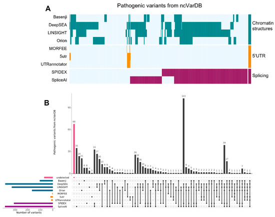 Exploration of Tools for the Interpretation of Human Non-Coding Variants