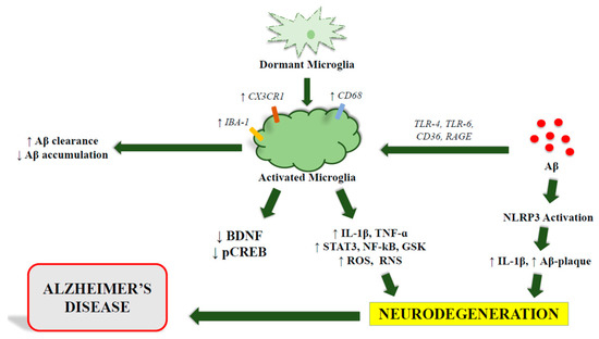Microglia and Alzheimer’s Disease