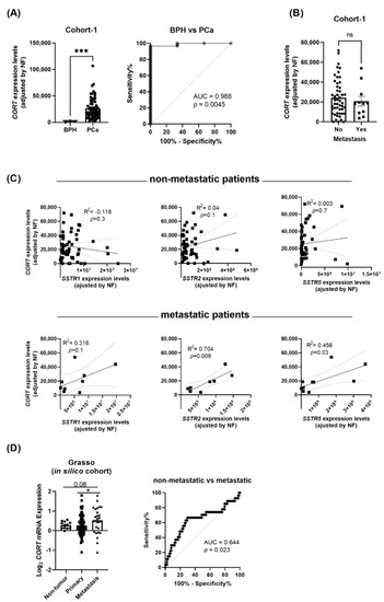 Somatostatin, Cortistatin and Their Receptors Exert Antitumor Actions ...