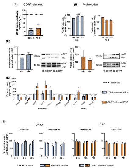Somatostatin, Cortistatin and Their Receptors Exert Antitumor Actions ...