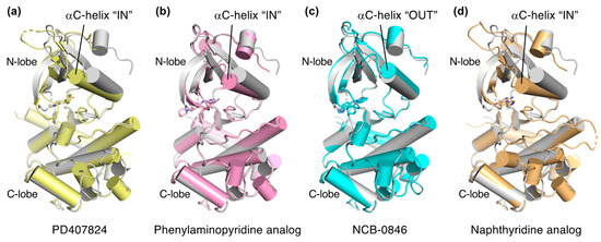 Structural Insight into TNIK Inhibition