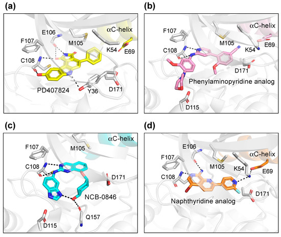 Structural Insight into TNIK Inhibition