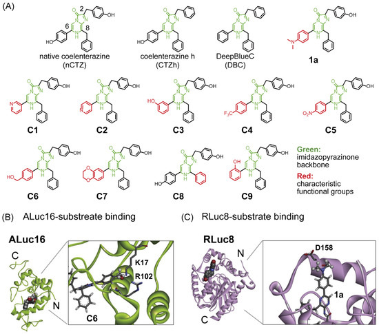 C-Series Coelenterazine-Driven Bioluminescence Signature Imaging