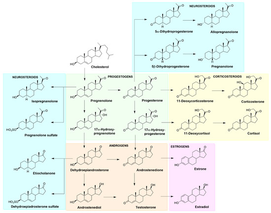 Allosteric Modulation of Muscarinic Receptors by Cholesterol ...