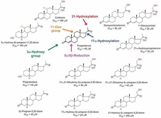 Allosteric Modulation of Muscarinic Receptors by Cholesterol ...