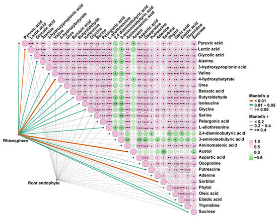 Increase in Cd Tolerance through Seed-Borne Endophytic Fungus Epichloë ...