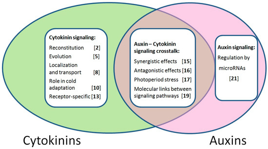 Perception, Transduction and Crosstalk of Auxin and Cytokinin Signals