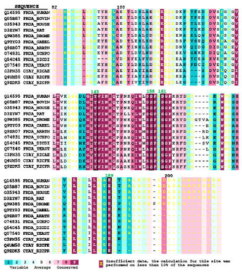 IJMS | Free Full-Text | Evolution of an Iron-Detoxifying Protein ...