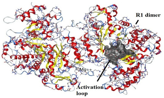 IJMS | Free Full-Text | Acetophenone-Based 3,4-Dihydropyrimidine-2(1H ...