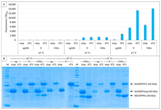 Split-GFP Reassembly Assay: Strengths and Caveats from a ...