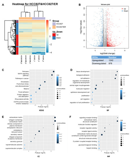 LMNA Reduced Acquired Resistance to Erlotinib in NSCLC by Reversing the ...