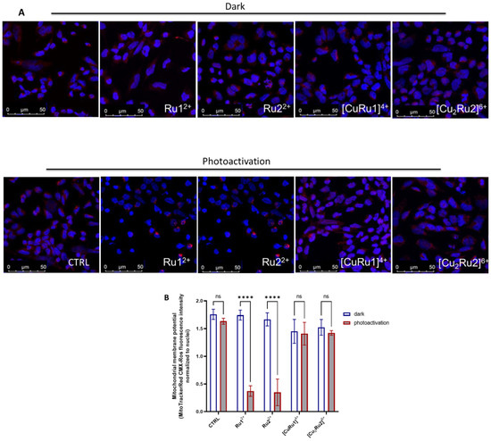 Highly Charged Ru(II) Polypyridyl Complexes as Photosensitizer Agents ...