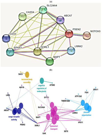 PSEN2 Thr421Met Mutation in a Patient with Early Onset Alzheimer’s Disease