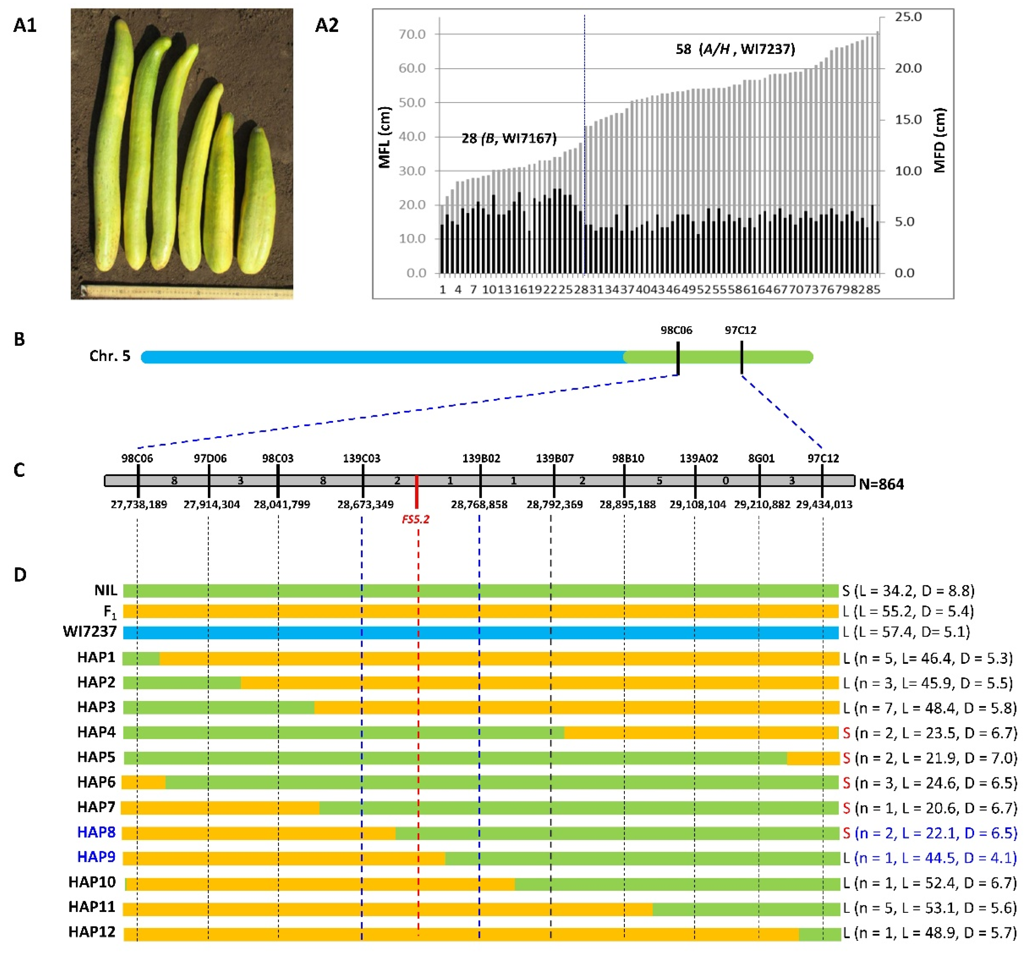 Phenotypic Characterization and Fine Mapping of a Major-Effect Fruit ...