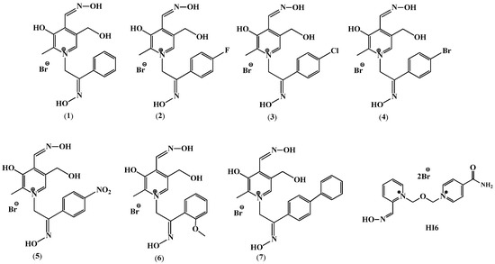 Potential of Vitamin B6 Dioxime Analogues to Act as Cholinesterase Ligands