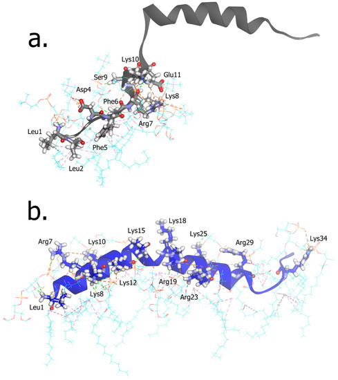 Residual Interactions of LL-37 with POPC and POPE:POPG Bilayer Model ...