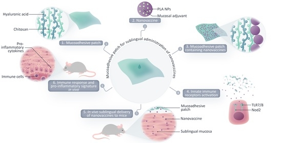 IJMS | Free Full-Text | Mucosal Adjuvants Delivered by a Mucoadhesive ...