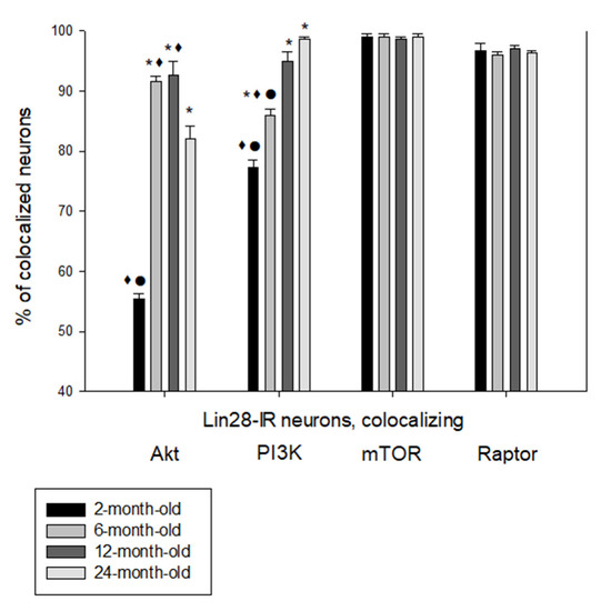 Ontogenetic Changes in the Expression of the Lin28 Protein in the Rat ...