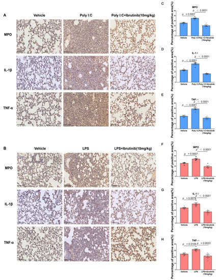 Ibrutinib Prevents Acute Lung Injury via Multi-Targeting BTK, FLT3 and ...