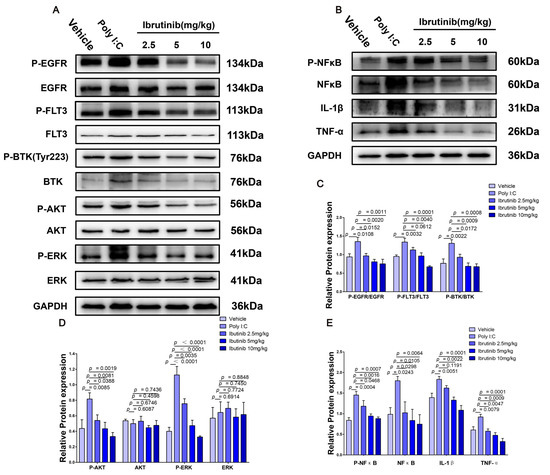 Ibrutinib Prevents Acute Lung Injury via Multi-Targeting BTK, FLT3 and ...