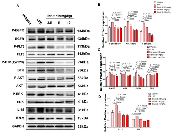 Ibrutinib Prevents Acute Lung Injury via Multi-Targeting BTK, FLT3 and ...