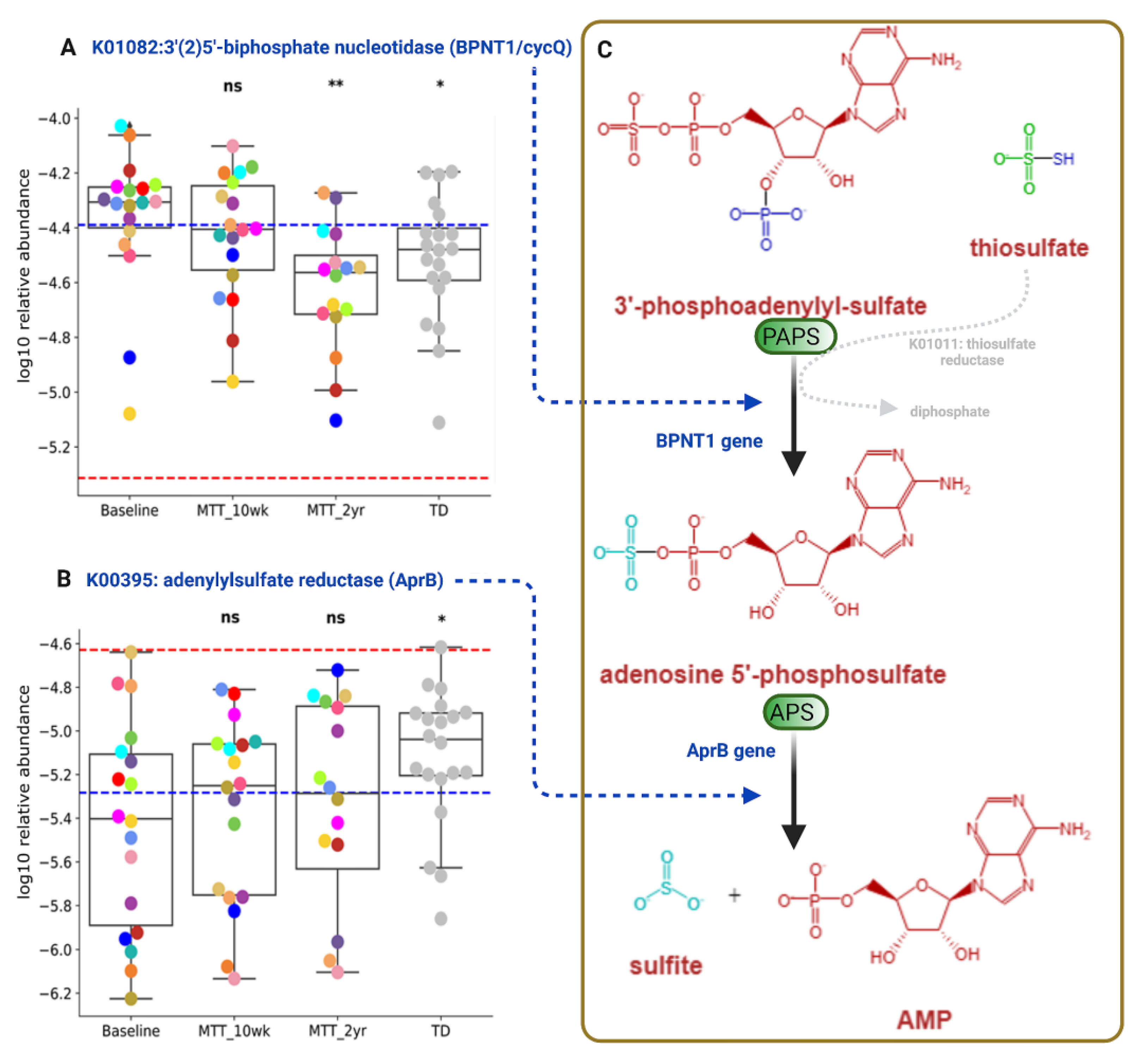 Shotgun Metagenomics Study Suggests Alteration in Sulfur Metabolism and ...