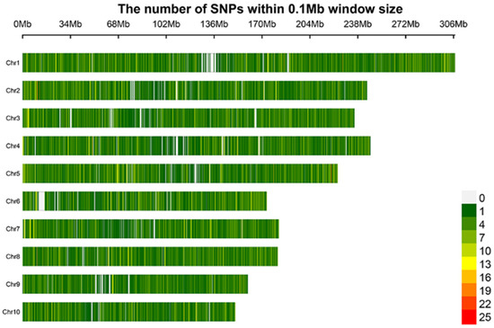 Identification of Genetic Variations and Candidate Genes Responsible ...
