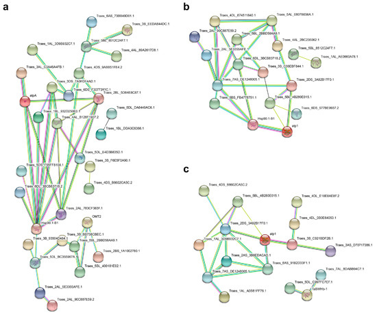 IJMS | Free Full-Text | Proteomic Analysis of Roots Response to ...
