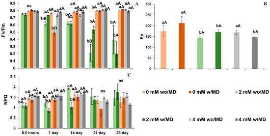 Roles of Calcium Signaling in Gene Expression and Photosynthetic ...