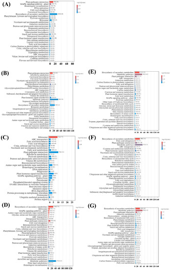 Transcriptome Analysis Reveals a Comprehensive Virus Resistance ...