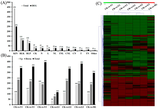 Transcriptome Analysis Reveals a Comprehensive Virus Resistance ...