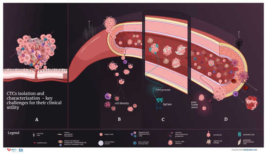 Circulating Tumor Cells in Colorectal Cancer: Detection Systems and Clinical Utility