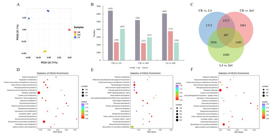 Physiological and Transcriptomic Analysis Revealed the Molecular Mechanism of Pinus koraiensis ...