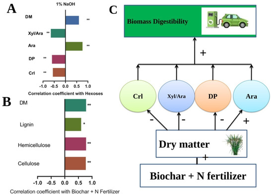 IJMS | Free Full-Text | Effects of Biochar and Nitrogen Application on ...