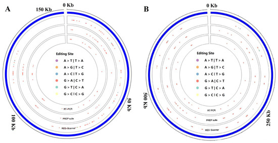 Exploring the RNA Editing Events and Their Potential Regulatory Roles ...