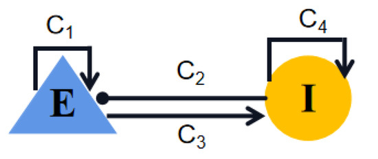 Dynamical Mechanism Analysis of Three Neuroregulatory Strategies on the ...