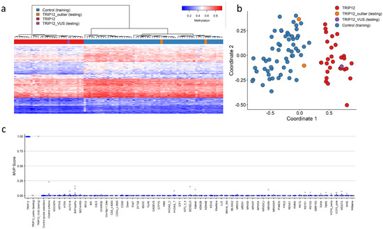 Episignature Mapping of TRIP12 Provides Functional Insight into Clark ...