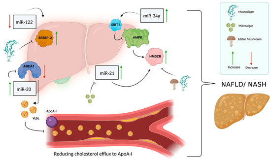 Regulation of Cholesterol Metabolism by Phytochemicals Derived from ...