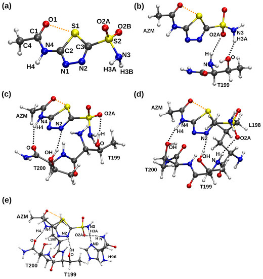 Chalcogen Bond as a Factor Stabilizing Ligand Conformation in the ...