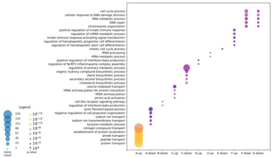 IJMS | Free Full-Text | Crosstalk between Thyroid Hormone and ...