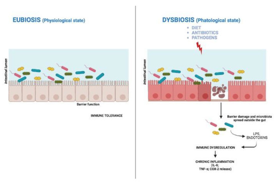 Gut Microbiota Host–Gene Interaction