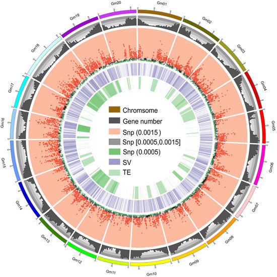 Genome-Wide Comparison of Structural Variations and Transposon ...