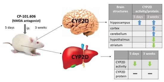 IJMS | Free Full-Text | The Effect of the Selective N-methyl-D ...