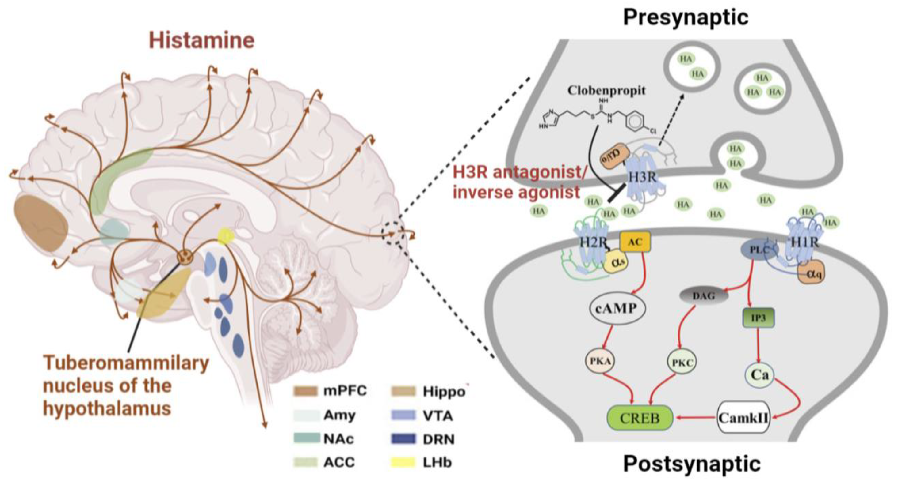 Potential Of Heterogeneous Compounds As Antidepressants A Narrative Review