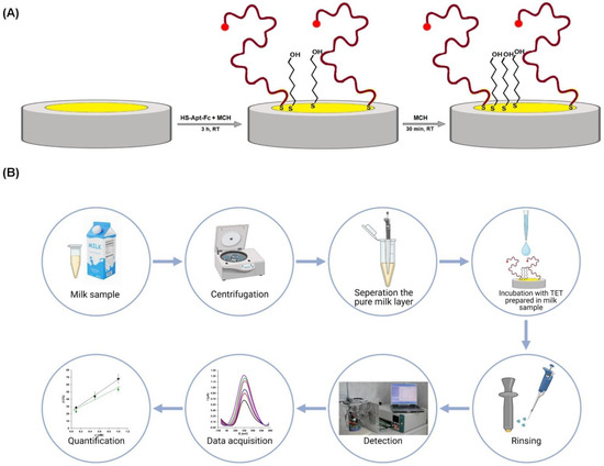 Electrochemical Biosensor Designed to Distinguish Tetracyclines ...
