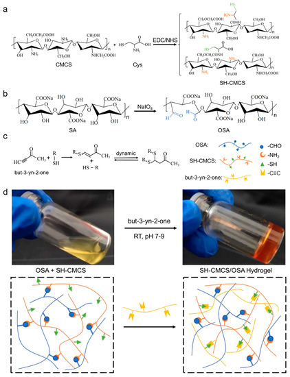 Dynamic Double Cross-Linked Self-Healing Polysaccharide Hydrogel Wound Dressing Based on Schiff ...