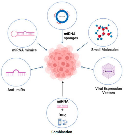 miRNAs in Regulation of Tumor Microenvironment, Chemotherapy Resistance, Immunotherapy ...