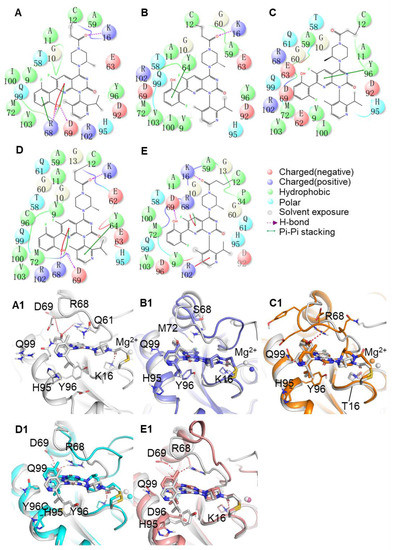In Silico Study of the Acquired Resistance Caused by the Secondary ...