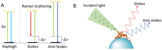 Label-Free Surface-Enhanced Raman Spectroscopic Analysis of Proteins ...